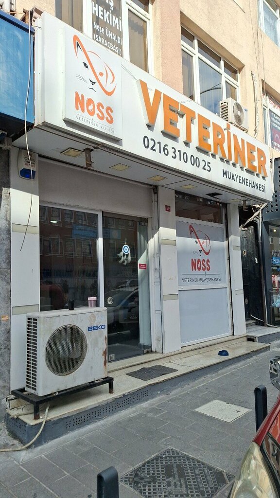 Veteriner klinikleri Noss Veteriner Kliniği, İstanbul, foto