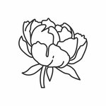 Pion Kupidon (Mira Avenue No:92с1), çiçek teslimatı  Moskova'dan