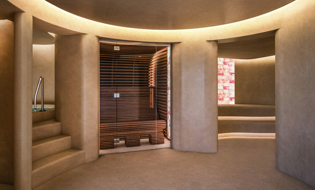 Proje enstitüleri, kurumları The Wellness, Dubai, foto