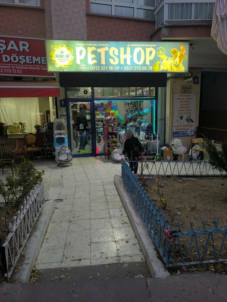 Petshop Mavi Ay Petshop, Ankara, foto