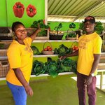 Chamba Valley Farm (Lusaka, Chamba Valley), tarım firmaları  Lusaka'dan
