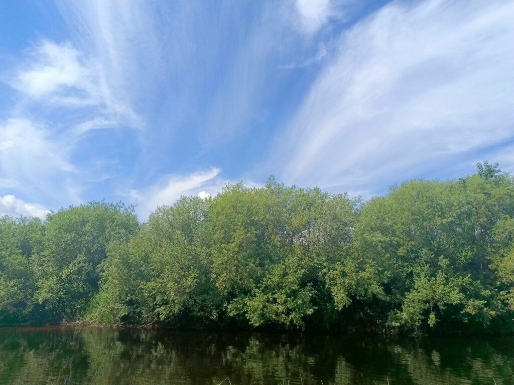 Plaj Пляж, Vologodskaya oblastı, foto