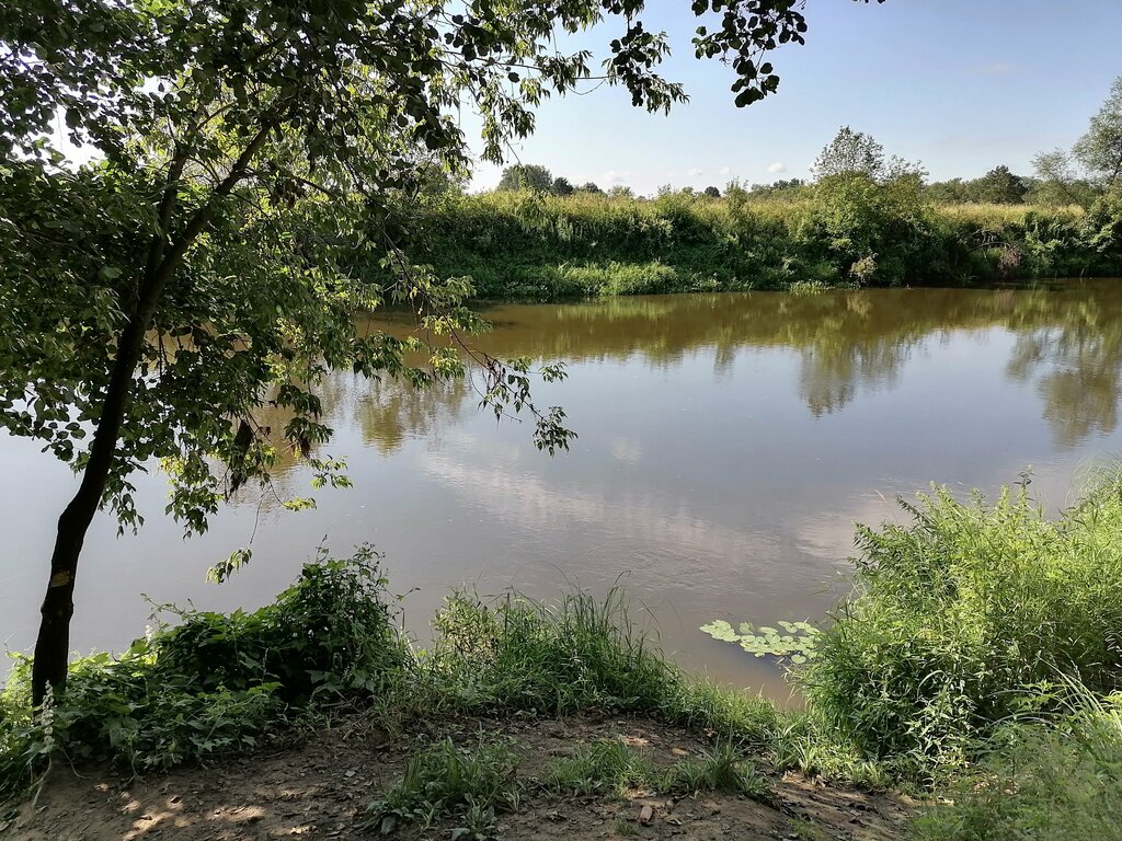Pınar, çay Spring, stream, Moskova ve Moskovskaya oblastı, foto