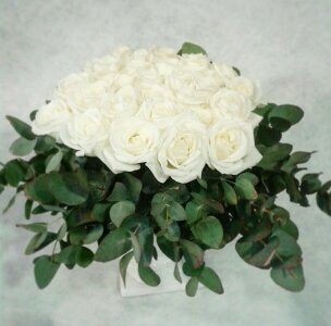 Çiçekçiler Cengiz Çiçekçilik, İzmir, foto