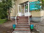 Тави (21-ya Amurskaya ulitsa No:10, Omsk), fotoğraf hizmetleri  Omsk'tan