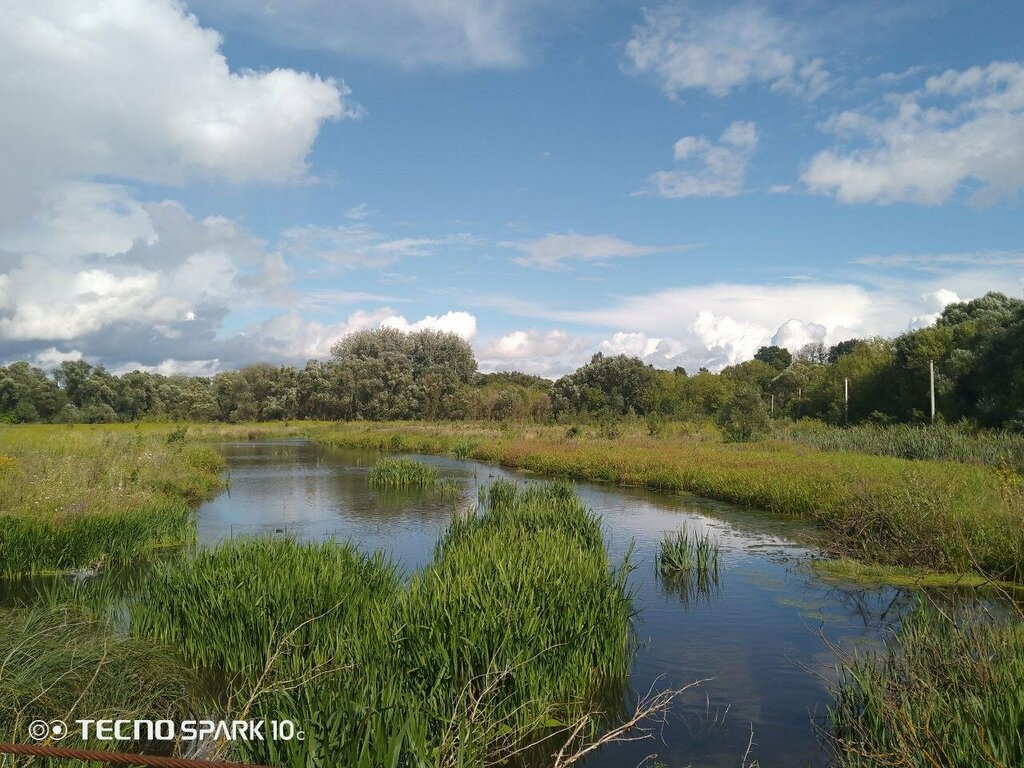 Doğa koruma alanı Государственный природный заказник регионального значения Водоохранная зона р. Осколец, Belgorodskaya oblastı, foto