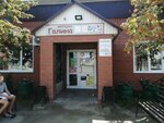Галина (Orenburg Region, Orsk, posyolok Stepnoy), market  Orsk'tan