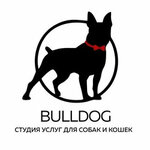 Bulldog (Ivana Shamiakina Street No:9), evcil hayvan kuaförleri  Minsk'ten