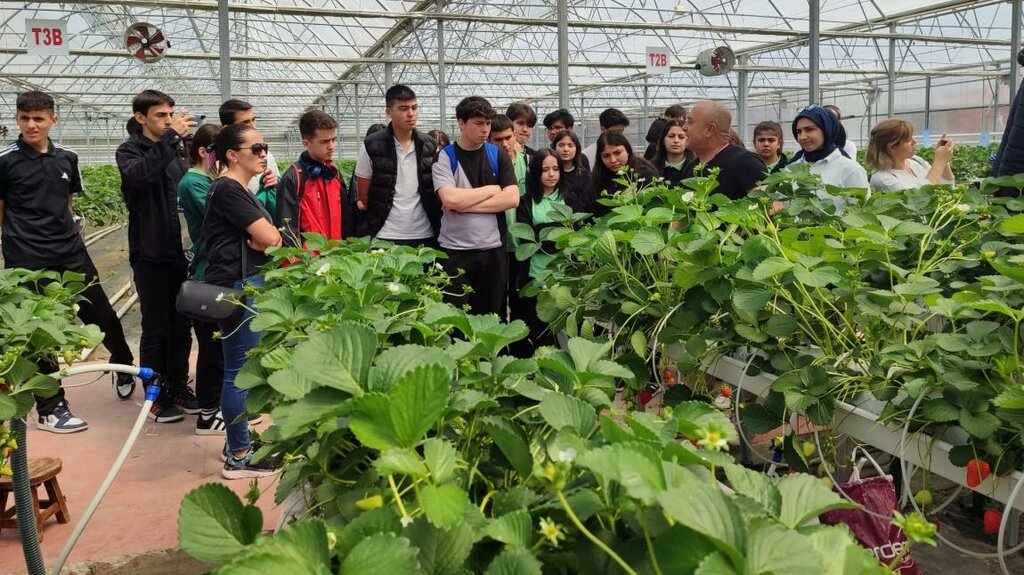 Fen lisesi, sosyal bilimler lisesi Şerife Baldöktü Mesleki Ve Teknik Anadolu Lisesi, Silivri, foto
