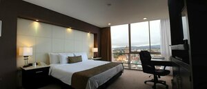 Hotel Panorama (San Luis Potosí, San Luis Potosí, Avenida Venustiano Carranza), otel  San Luis Potosi'den