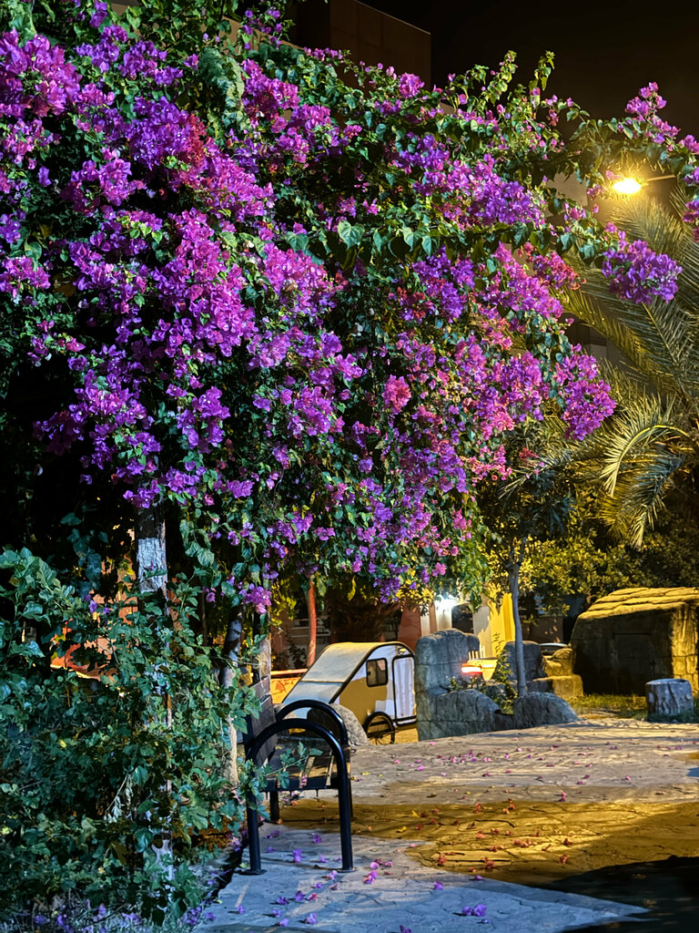Çeşme Çeşme, Alanya, foto