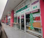 Elşən Toxumlar (Azərbaycan bayrağı küçəsi No:171), tohum satan yerler  Gence'den