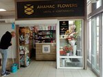 Ананас Flowers (Neftzavodskaya Street No:27к1), çiçekçiler  Omsk'tan