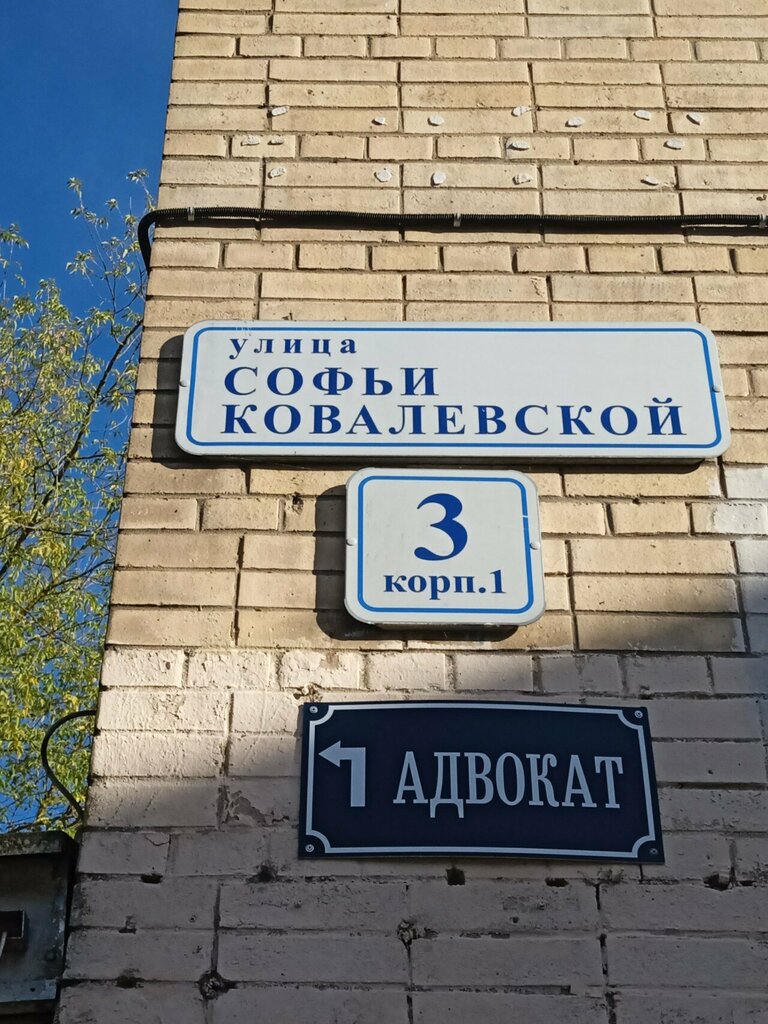 Avukatlar Advokat Artyushkin V. V., Saint‑Petersburg, foto