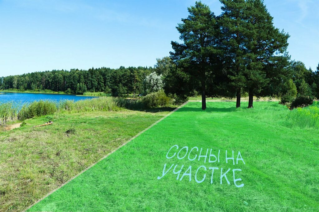 Arazi dizisi Territory for life, Moskova, foto