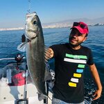 Fatih AV Market (Cedit Mah., Kobak Cad., No:81, Merkez, Kütahya), market  Kütahya'dan