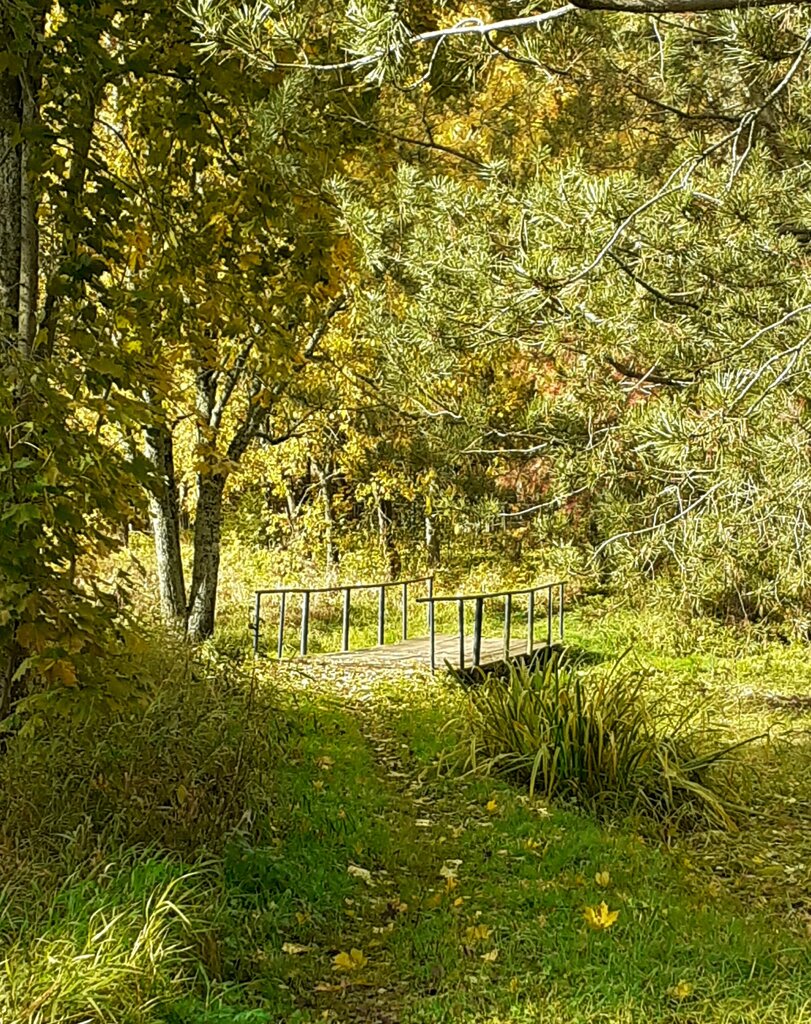 Mezarlıklar Ламповское кладбище, Saint‑Petersburg ve Leningradskaya oblastı, foto