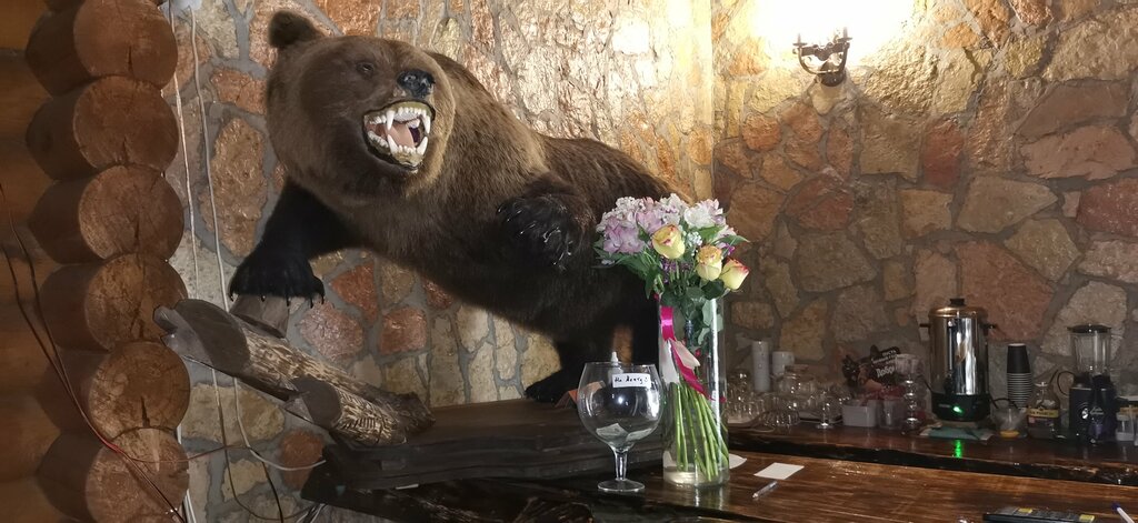 Kafe Ануш, Novgorodskaya oblastı, foto