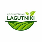 Seleccenter (Tekhnicheskiy pereulok No:24, khutor Lagutniki), tohum üretimi  Rostovskaya oblastından