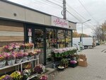 Bettyflora (Ialoveni, strada Alexandru cel Bun), çiçekçiler  Ialoveni'den