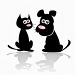 Littledog.club (Moscow, Novomoskovskiy Administrative Okrug, Kommunarka District, ulitsa Aleksandry Monakhovoy, 95к3), evcil hayvan kuaförleri  Moskova'dan