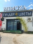 Mimoza (Ábdireev kóshesi No:4), çiçekçiler  Kızılorda'dan