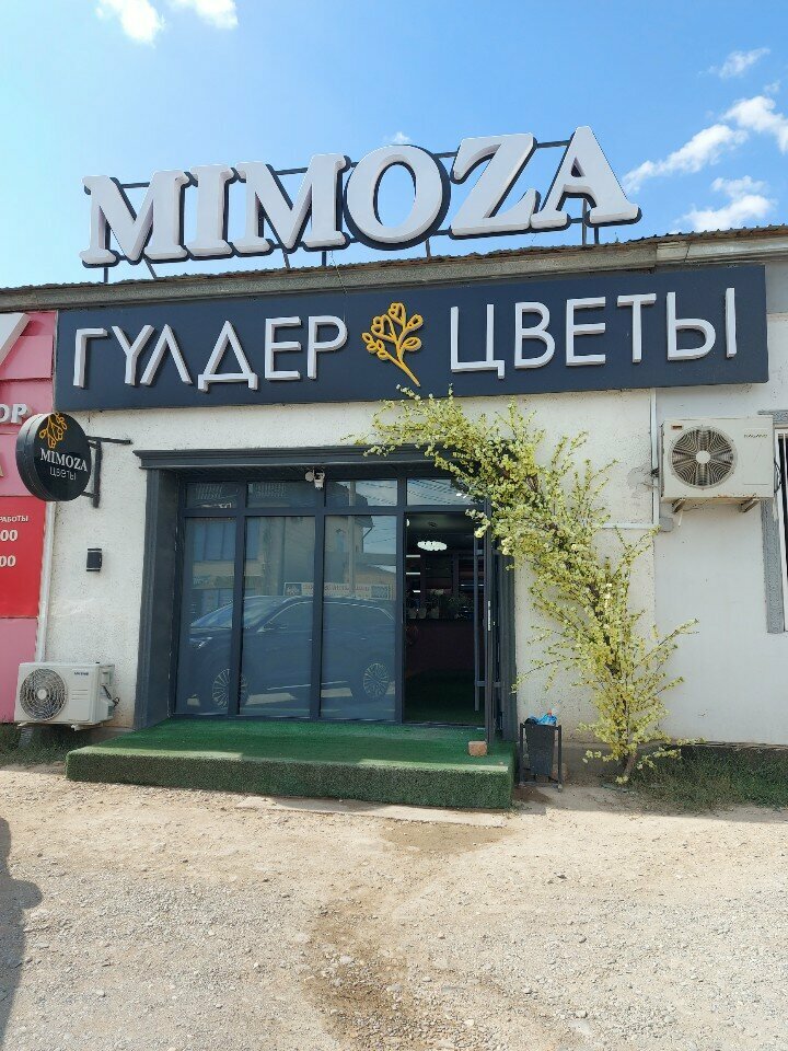 Çiçekçiler Mimoza, Kızılorda, foto