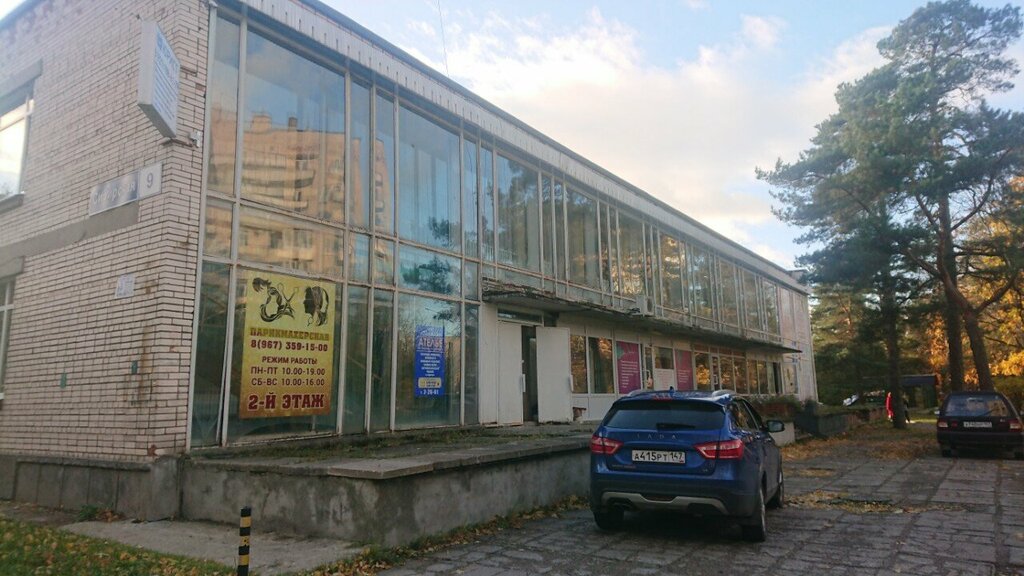 Terziler Тюльпан, Sosnoviy Bor, foto