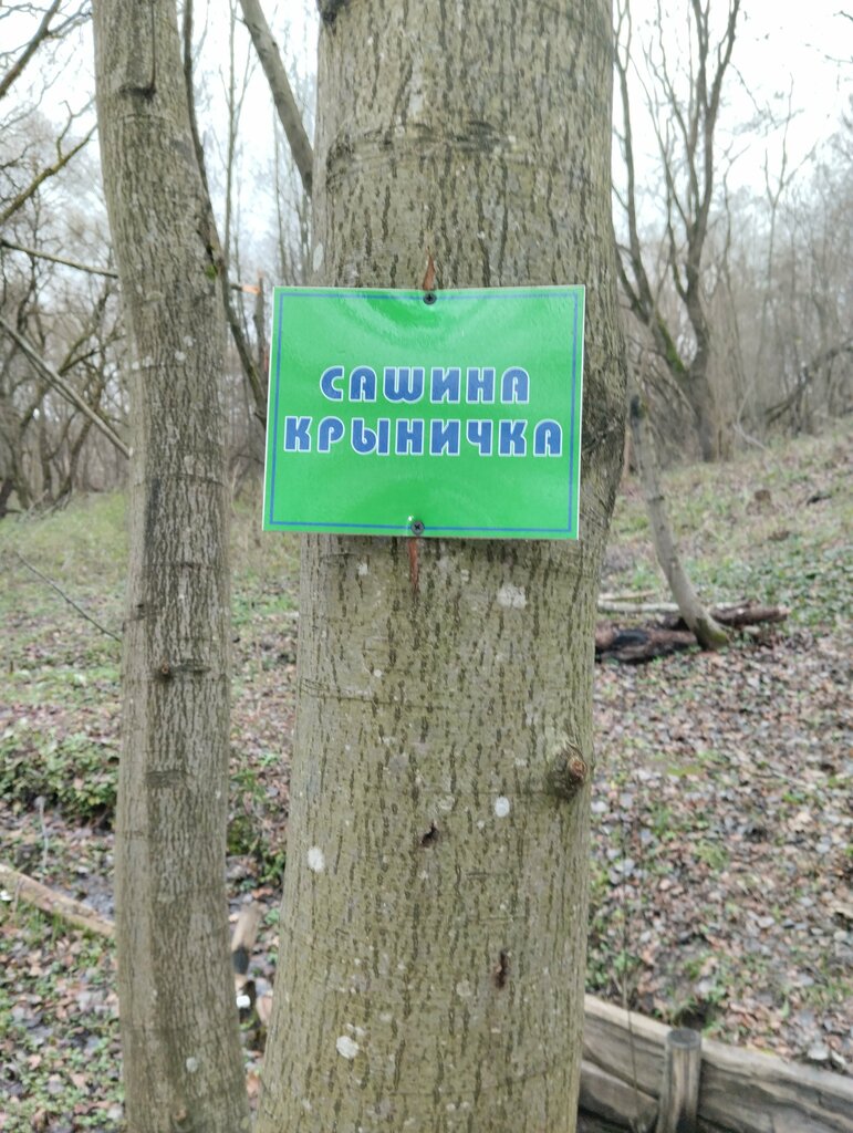Pınar, çay Spring, stream, Vitebskaya oblastı, foto
