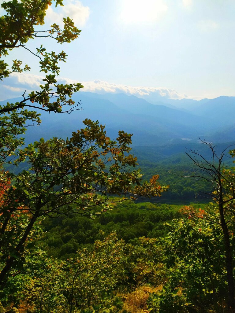 Dağ zirvesi Гора Индюк, Krasnodarski krayı, foto