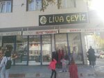 Liva Çeyiz (Ankara Province, Sincan District, Plevne Mah., Okul. Cad., 26B), çeyiz mağazaları  Ankara'dan