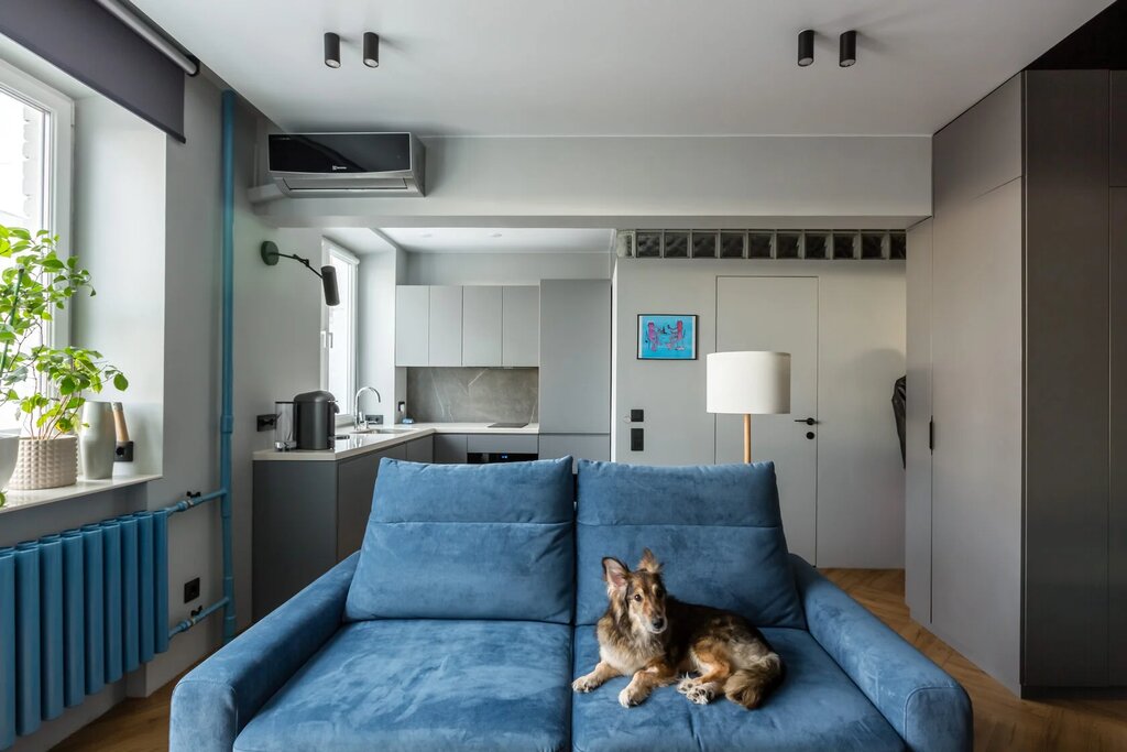Mobilya mağazaları Elite Design Group, Moskova, foto