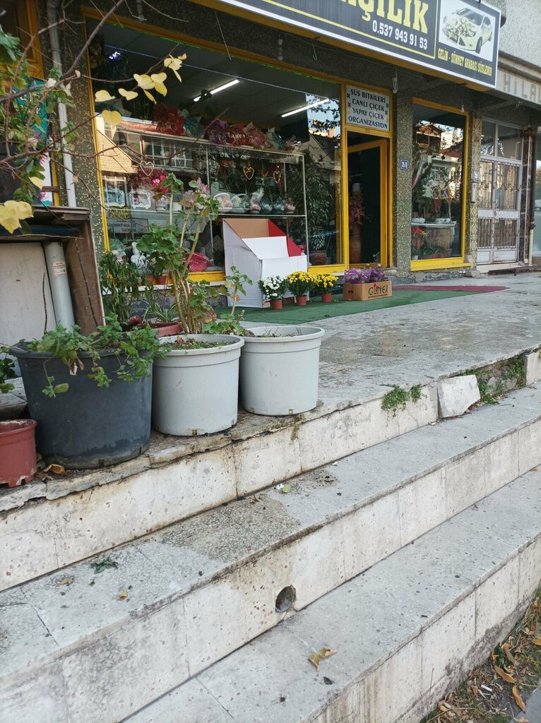 Çiçekçiler Ebruli Çiçekçilik, Ankara, foto