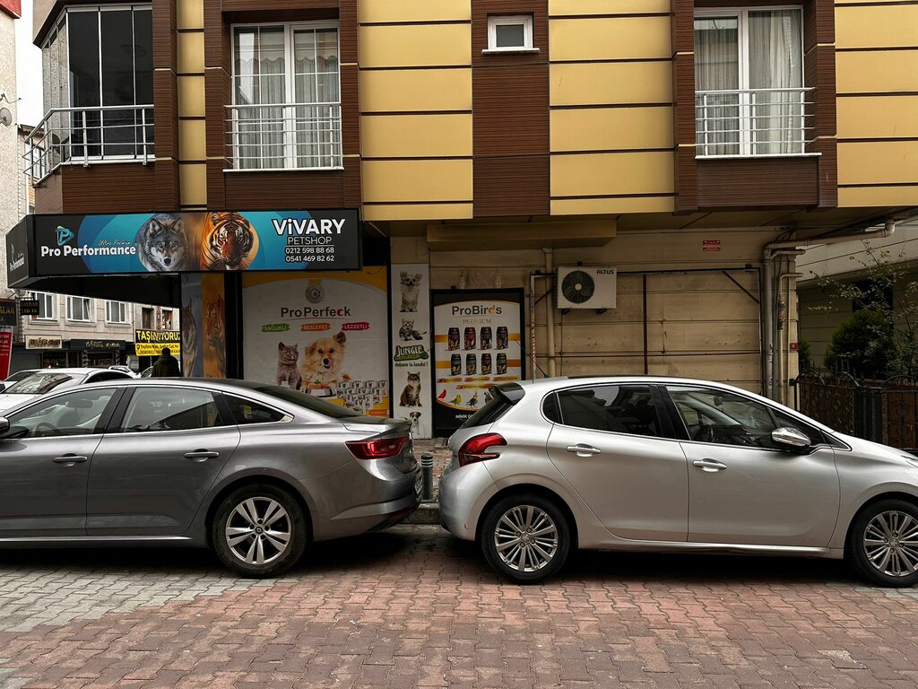 Çiçekçiler S Çiçek, İstanbul, foto