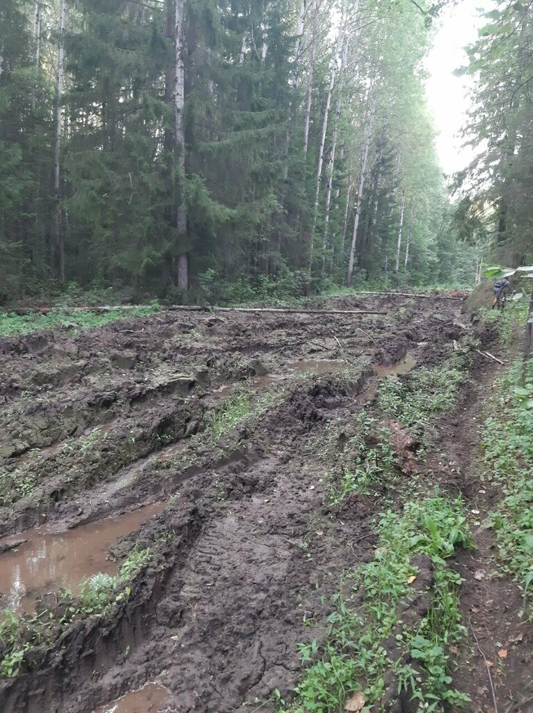 Dağ geçidi Малиновый перевал, Kirovskaya oblastı, foto