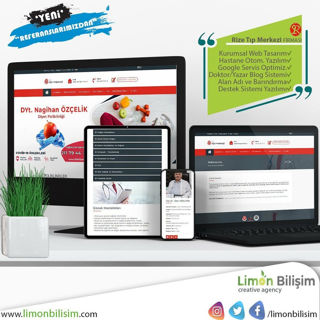 Web tasarım hizmetleri Limon Bilişim, Rize, foto