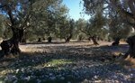 Kozaklı Tarım (Balıkesir, Gömeç, Hacıosman Mah.), tarım firmaları  Gömeç'ten