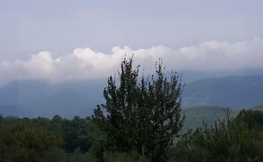 Muhtarlıklar Armutluyazı Köy Muhtarlığı, Ayancık, foto