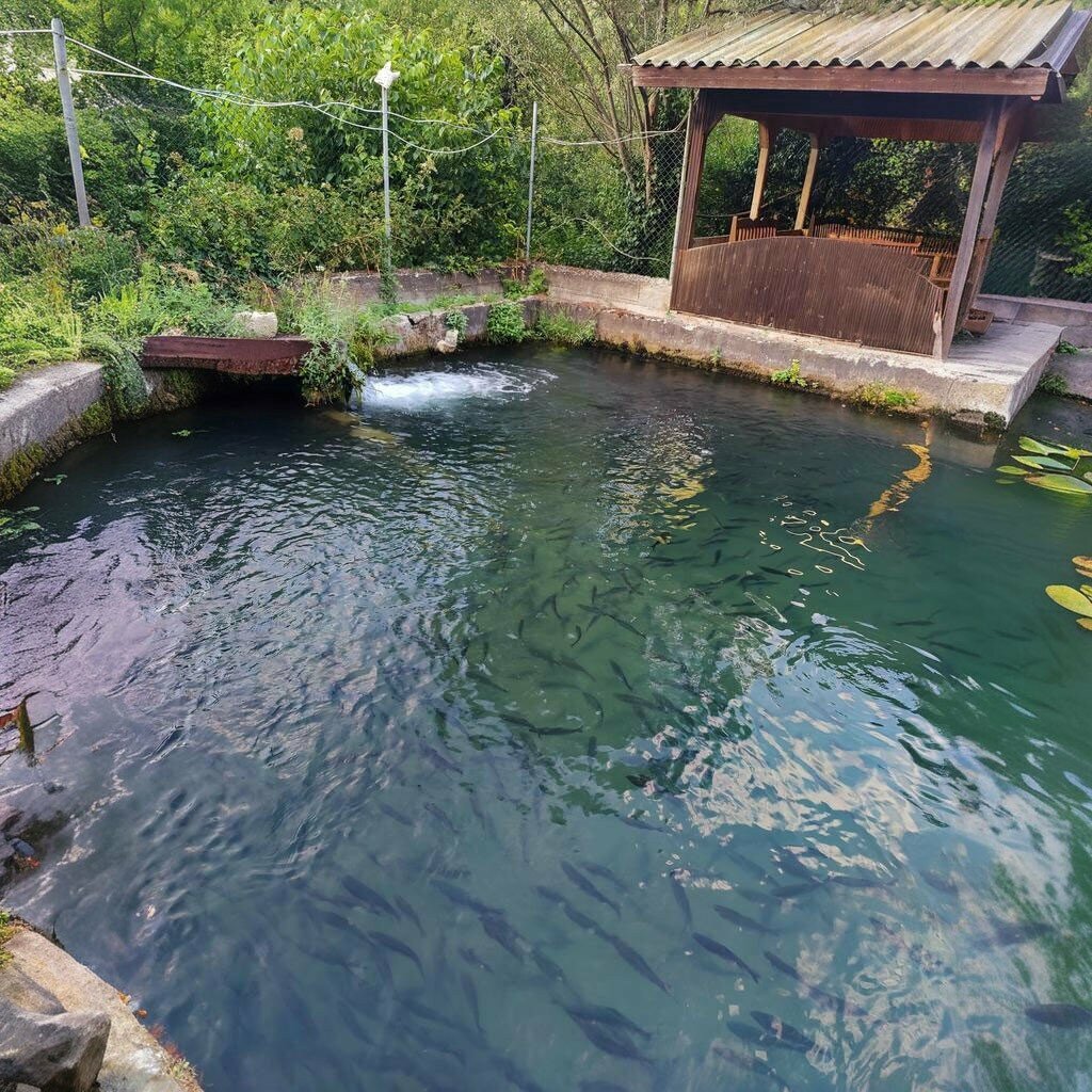 Restoran Mahdumlar Köyü Alabalık Üretim Tesisi ve Restaurant, Taraklı, foto