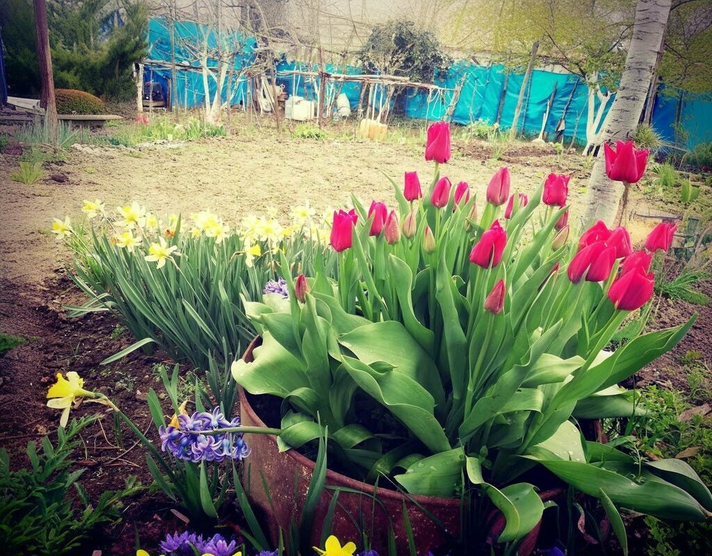 Muhtarlıklar Beylice Köy Muhtarlığı, Sungurlu, foto