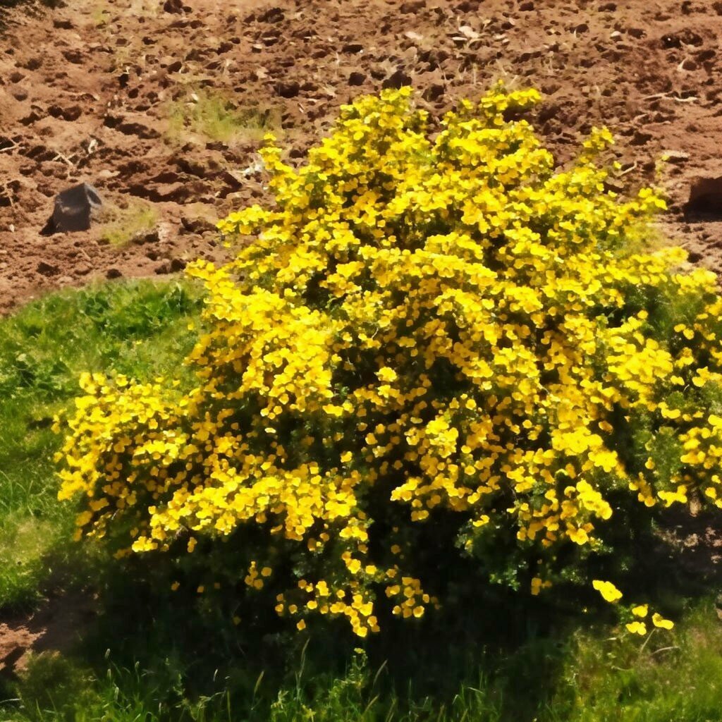 Muhtarlıklar Yukarıhacıahmetli Köy Muhtarlığı, Çiçekdağı, foto