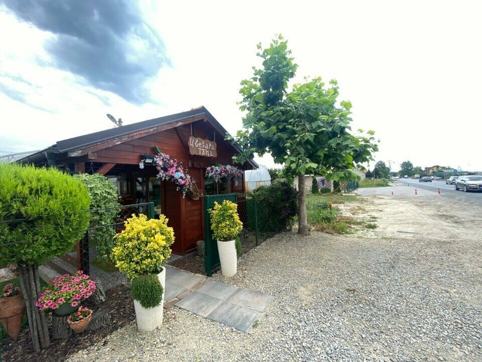 Çiçekçiler Cvecara i rasadnik Tanja, Güney Backa İlçesi, foto