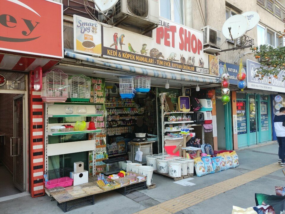 Petshop Şelale petshop, İzmir, foto
