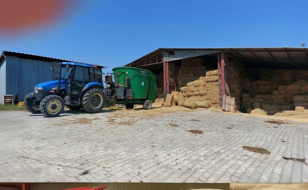 Hayvancılık Tezcan Tarım ve Hayvancılık, Çiftlikköy, foto