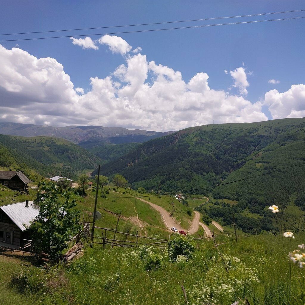 Muhtarlıklar Çaltı Köy Muhtarlığı, Refahiye, foto