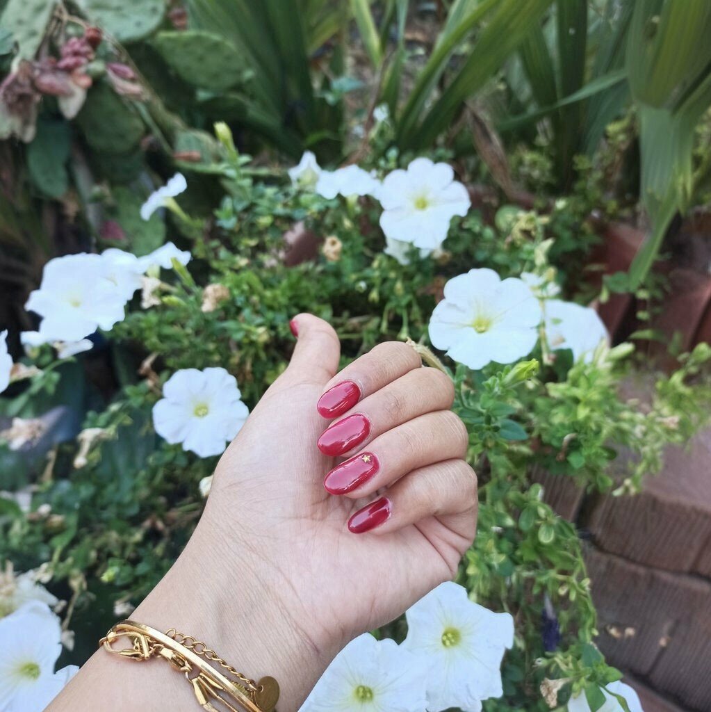 Sağlık ürünleri firmaları Alanya Güzellik Merkezi, Alanya, foto