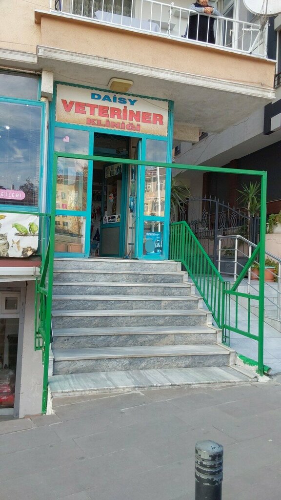 Veteriner klinikleri Daisy Veteriner Kliniği, İstanbul, foto