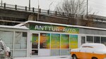 Anttur-avto (Mayakovskogo Street No:1А/3, Izhevsk), otomobil boyaları  Izhevsk'ten