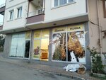 Afilli Yapı (Üçevler Mah., Durmaz Sok., No:9, Nilüfer, Bursa), i̇nşaat firmaları  Bursa'dan