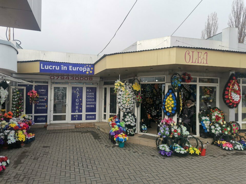 Yurtdışında çalışma Point Job, Beltsi, foto